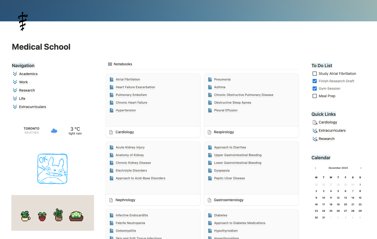 The Best Apps for Medical School Notes: Obsidian vs. Notion